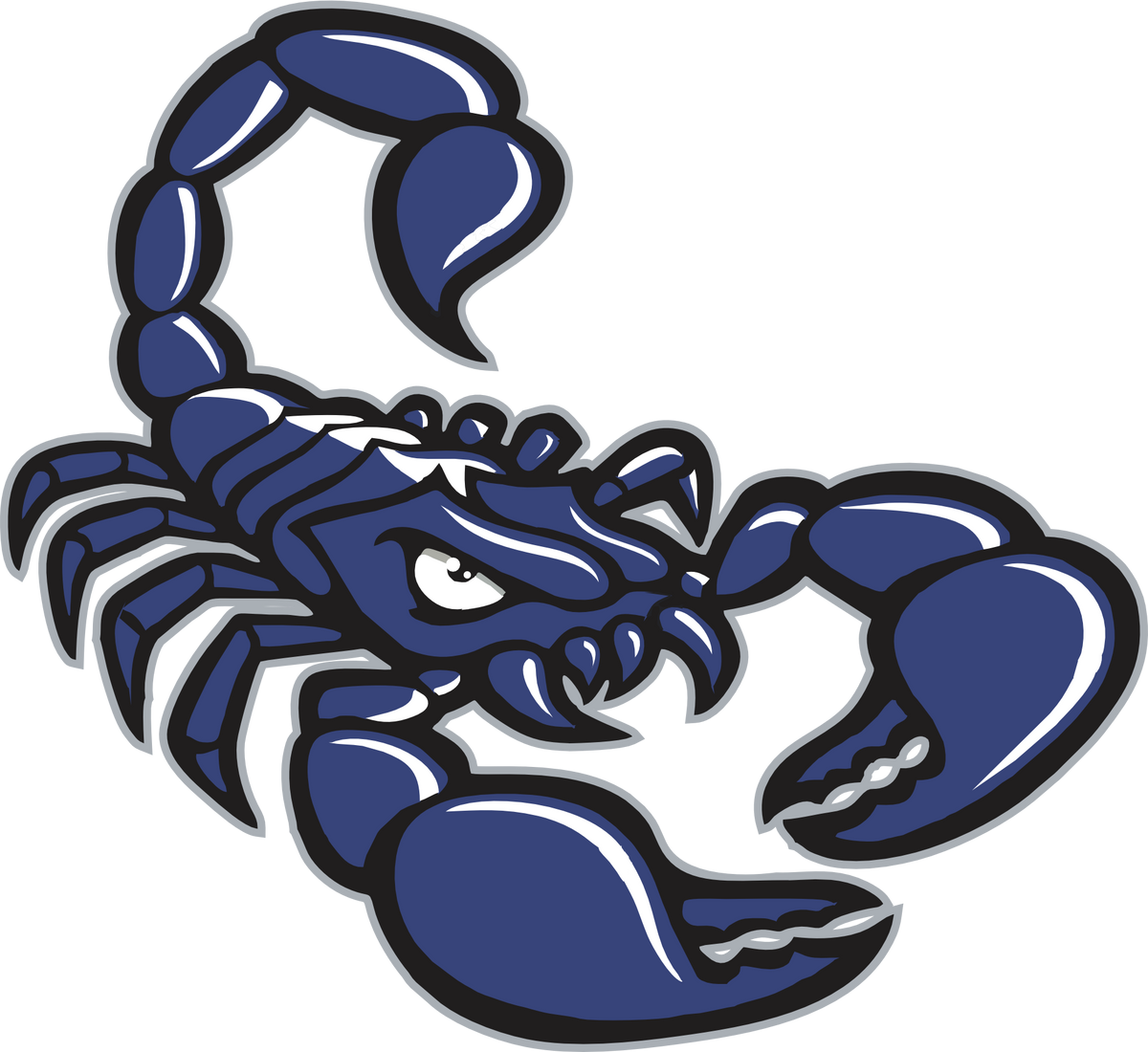 Safety Bay Football Club – Belgravia Apparel | Sports AU