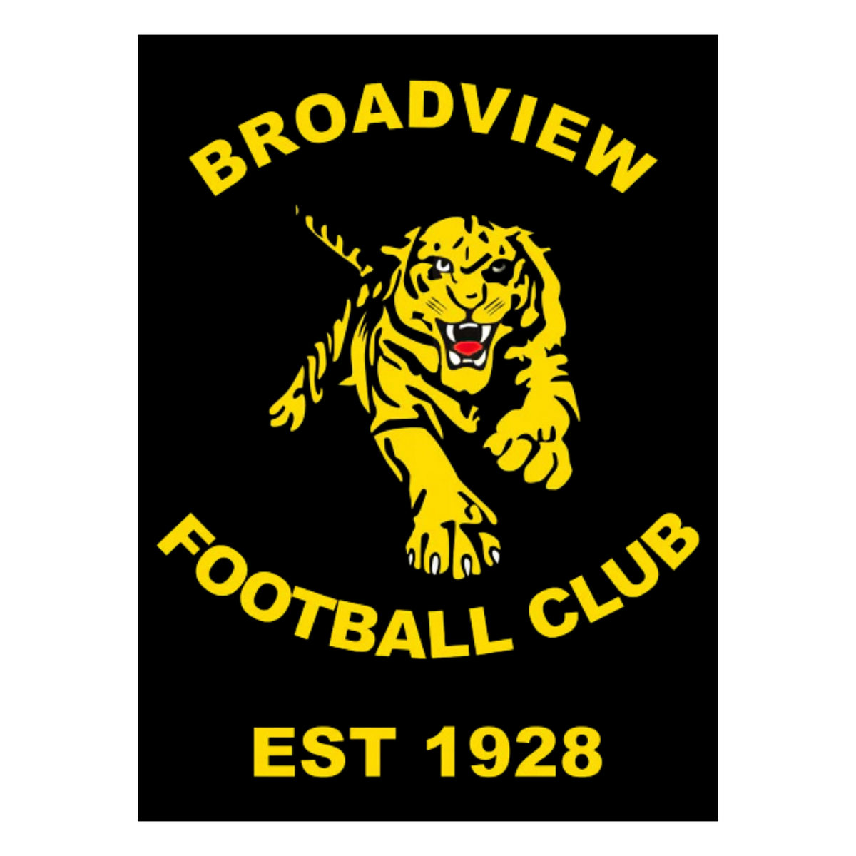 Broadview Football Club – Belgravia Apparel | Sports AU